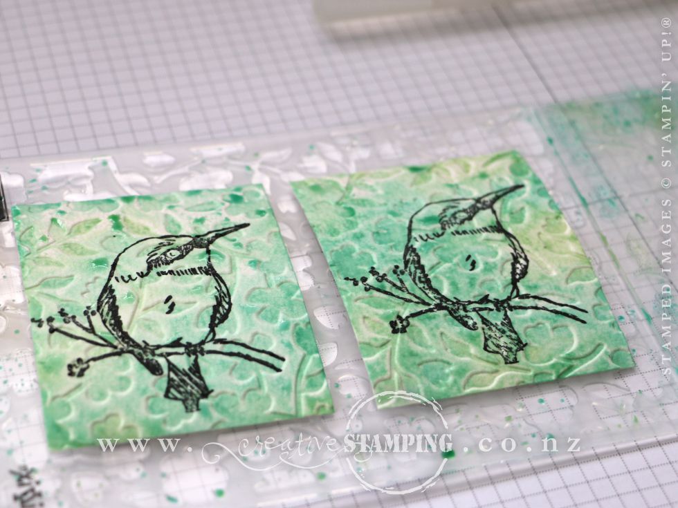 Watercolour Embossing - Kristine McNickle - Independent Stampin' Up ...