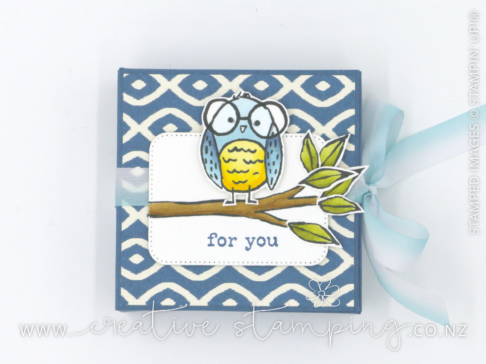 Bird's Eye View Gift Box - Kristine McNickle - Independent Stampin' Up ...