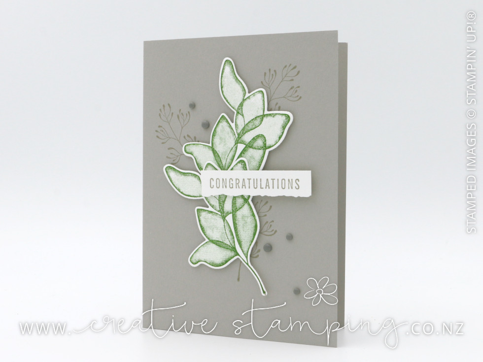 Translucent Florals Congratulations - Kristine McNickle - Independent ...